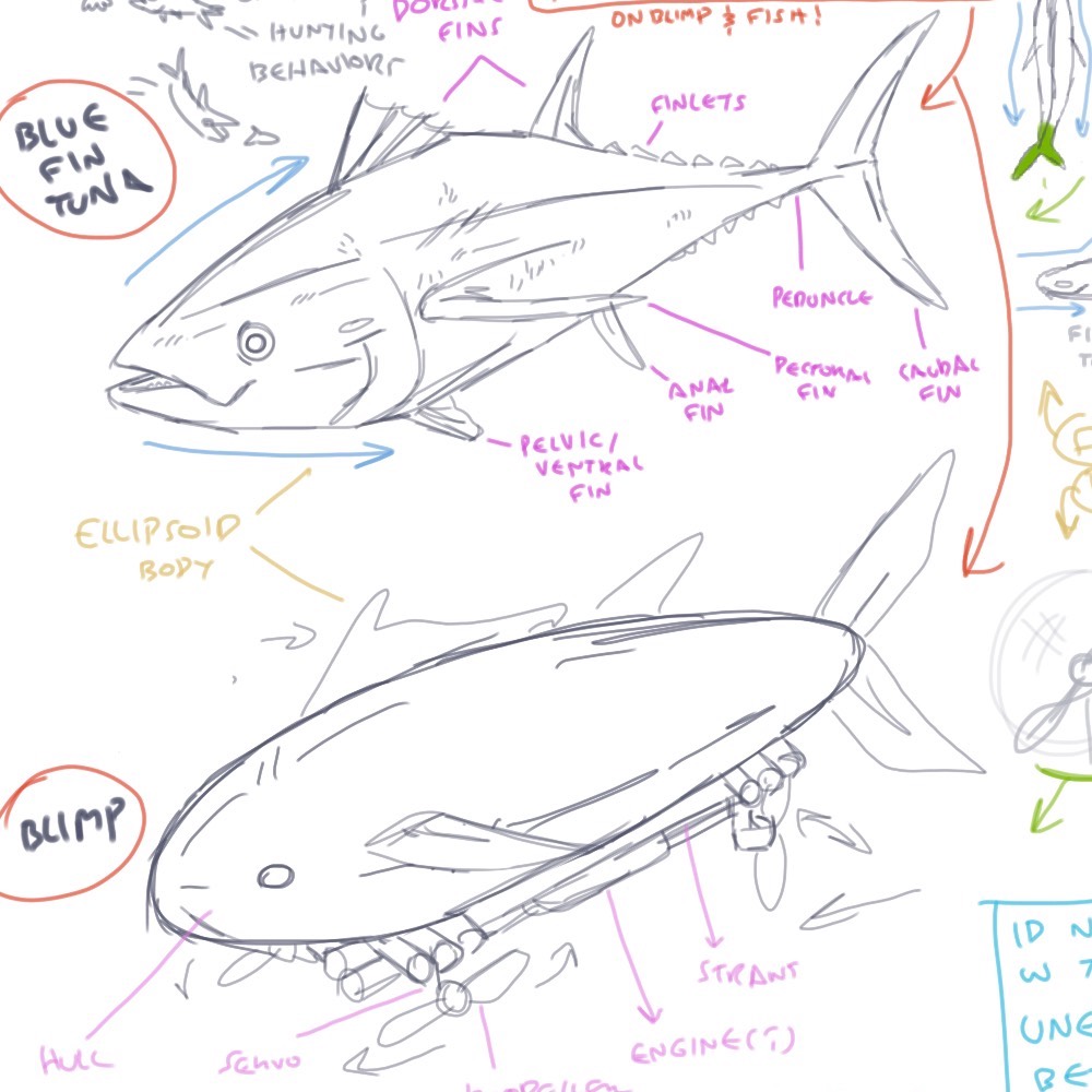 BLIMP – A Biologically-inspired, Lighter-than-air, Instructional ...